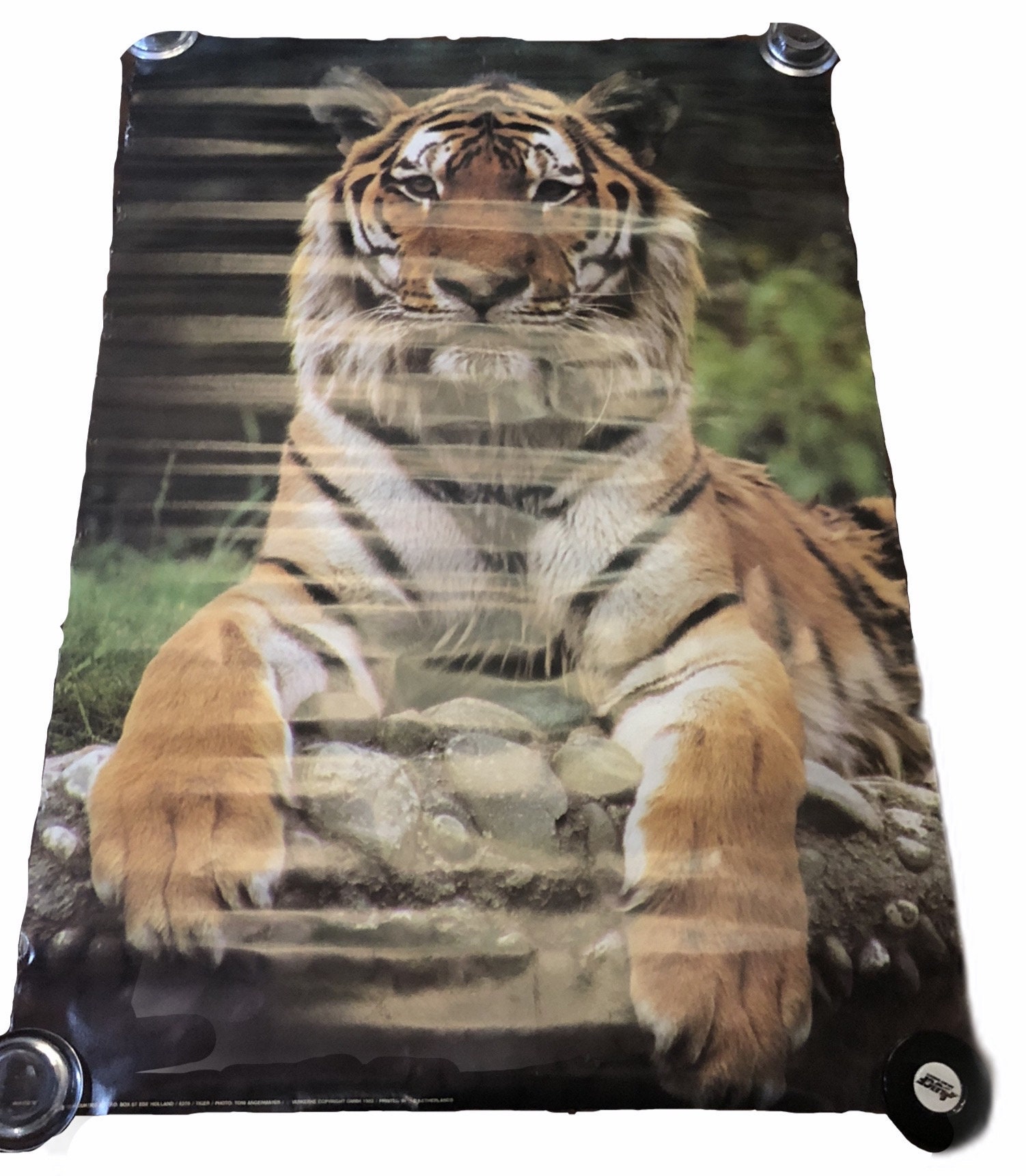 Epic Vintage Tiger Poster by Verkerke 1982 - Etsy