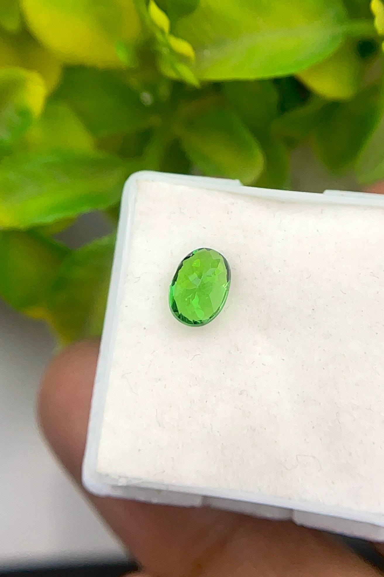 Natural Tsavorite Vivid Green Color Oval Cut, Green Garnet Gemstone for ...