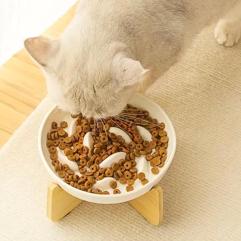 Ceramic Raised Cat Bowl - Etsy