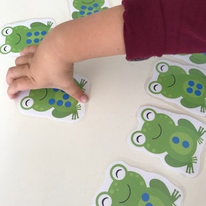 Counting Activity, Number Cards, Counting Cards, Frog Resource, Maths ...