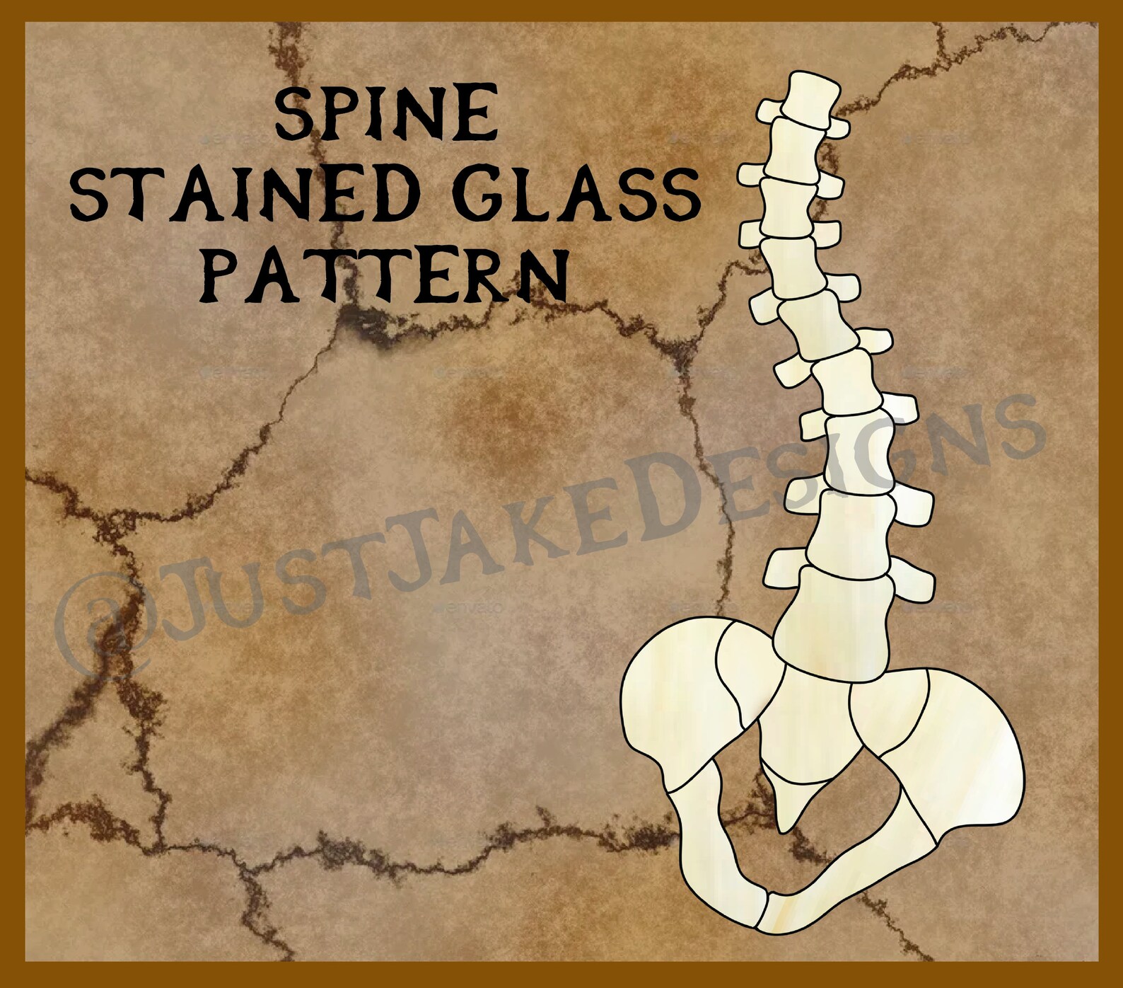 Spine Stained Glass Suncatcher Pattern - Etsy