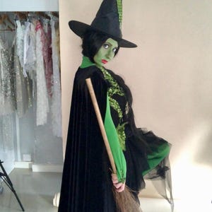 Wicked Witch Costume - Etsy