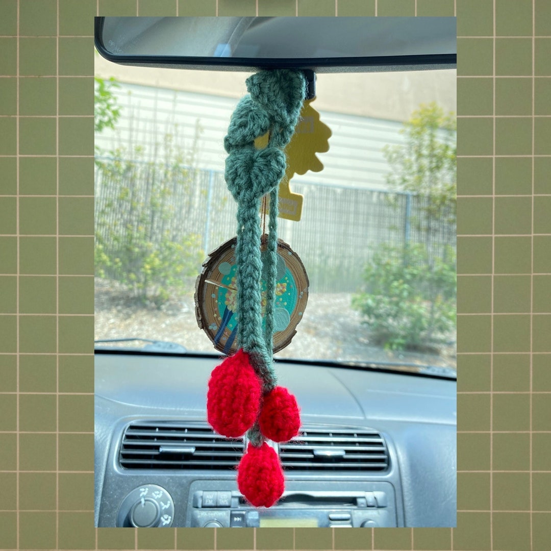 Crocheted Hanging Raspberry Car Accessory - Etsy