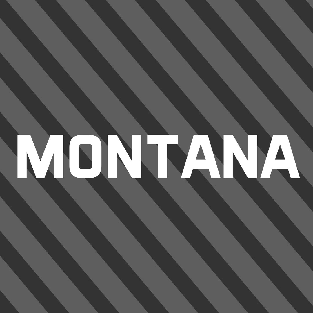 Montana State MT Vinyl Decal Sticker, Car Window Decal, White Sticker ...