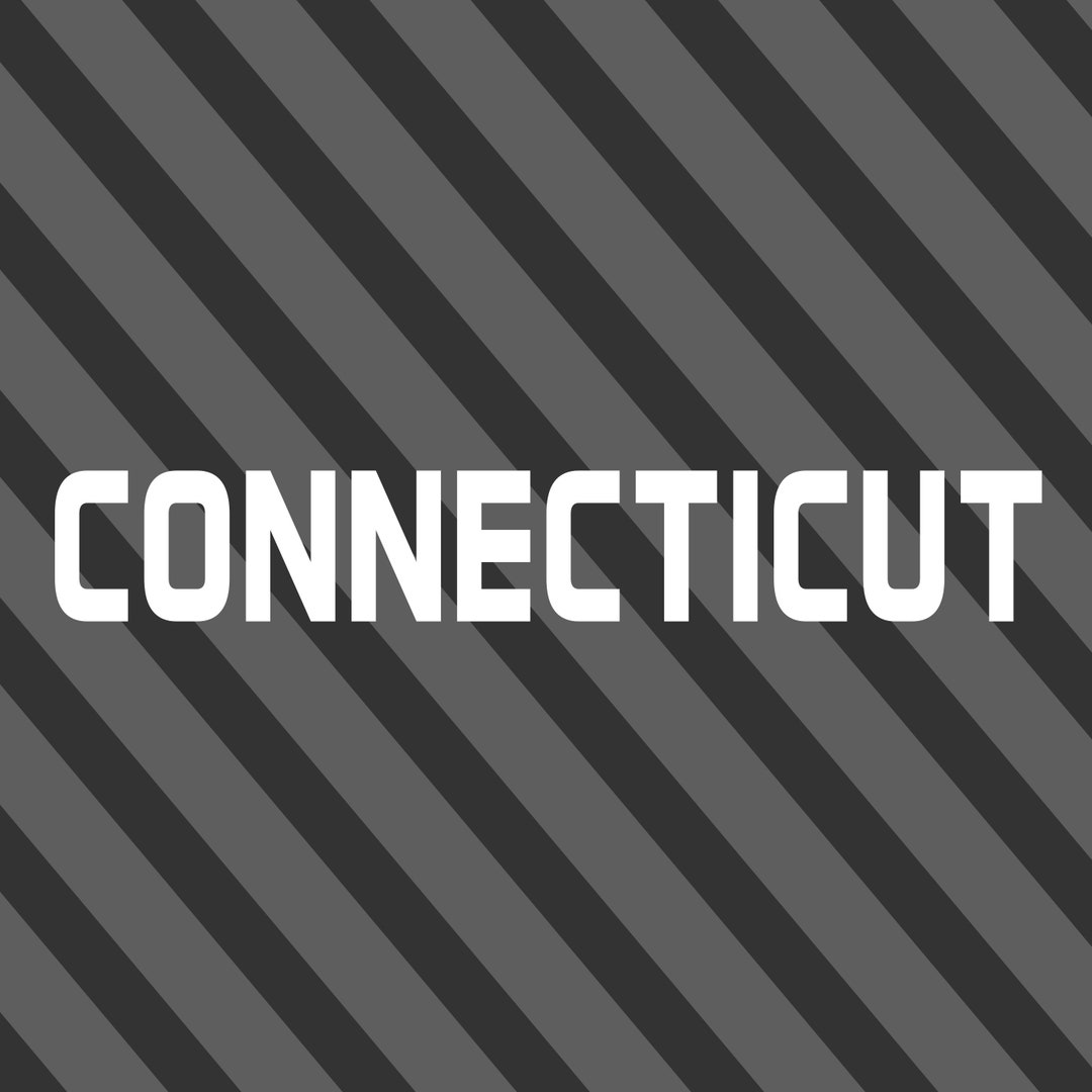 Connectict State CT Vinyl Decal Sticker, Car Window Decal, White ...