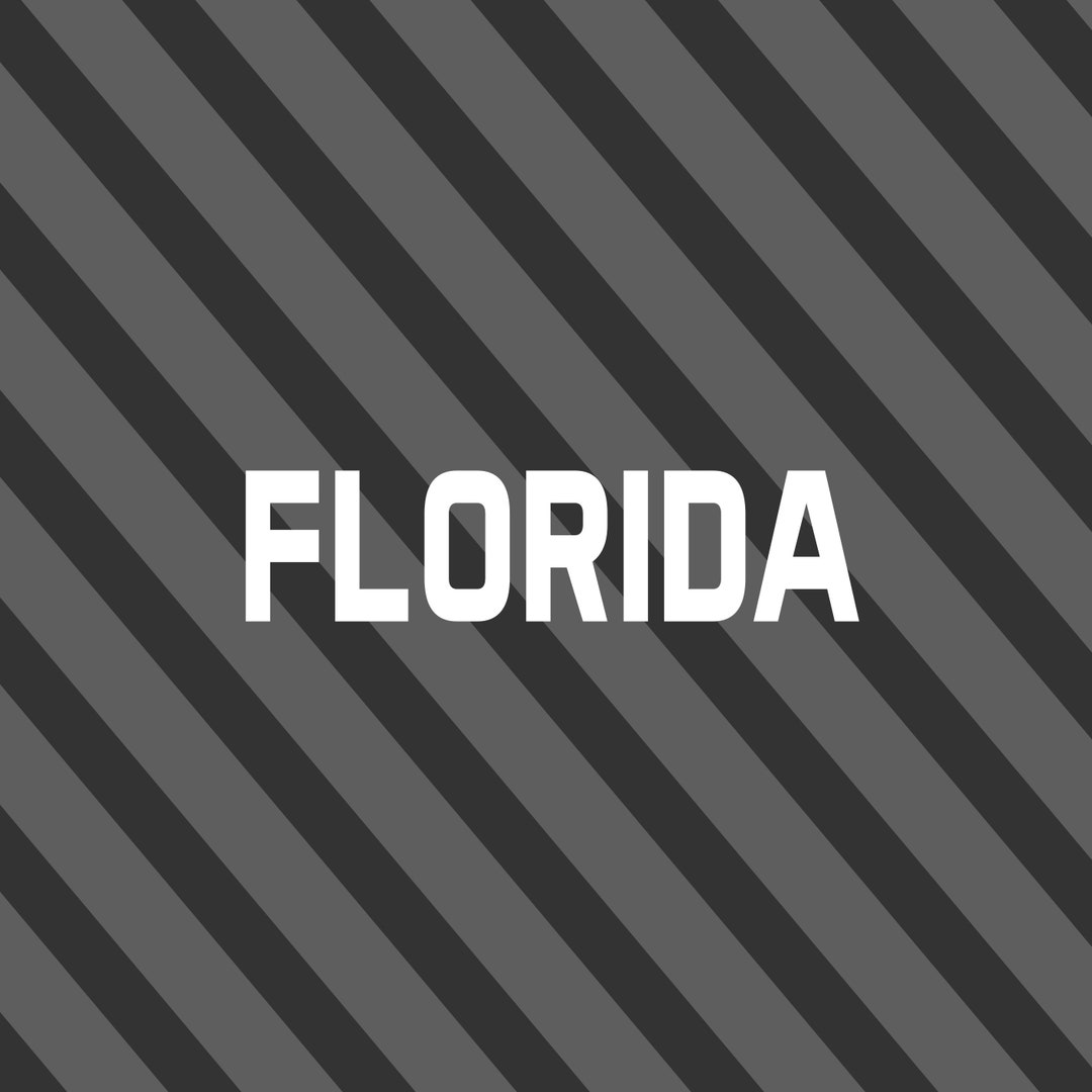 Florida State FL Vinyl Decal Sticker, Car Window Decal, White Sticker ...