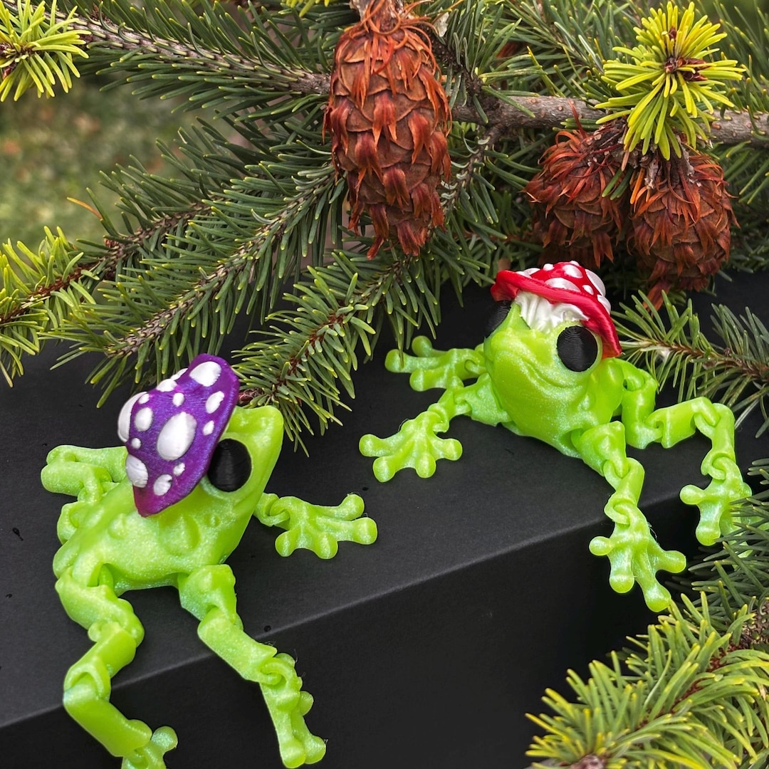 3D Printed Mushroom Hat Frog Fidget |stocking Stuffer | Flexible Animal ...