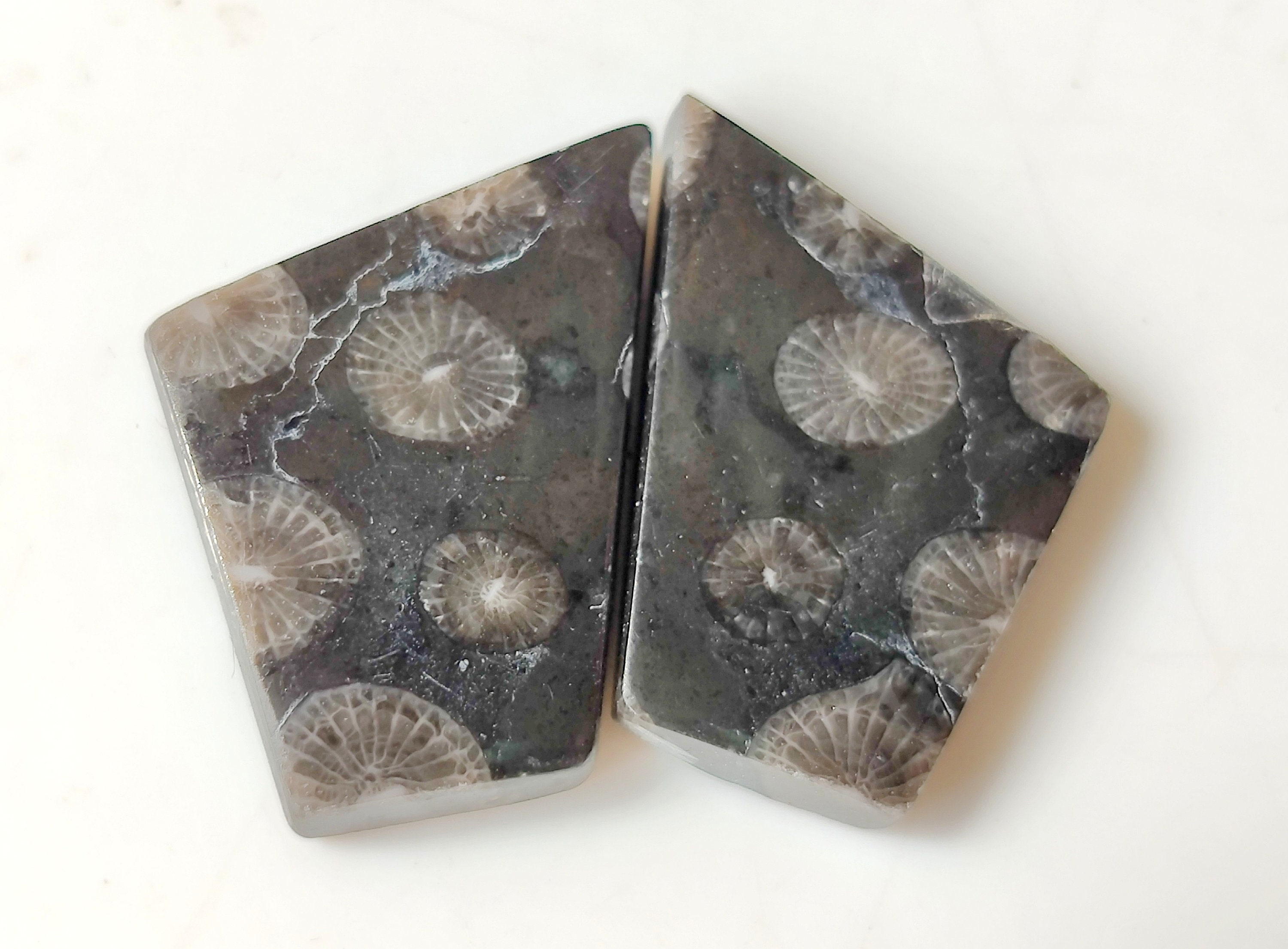 NATURAL BLACK FOSSIL Gemstone 25Ct Good Quality Black Fossil | Etsy