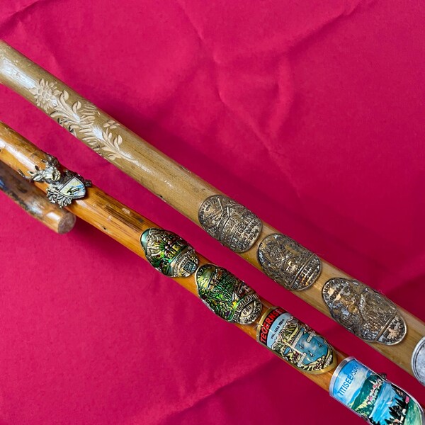 German Walking Stick - Etsy