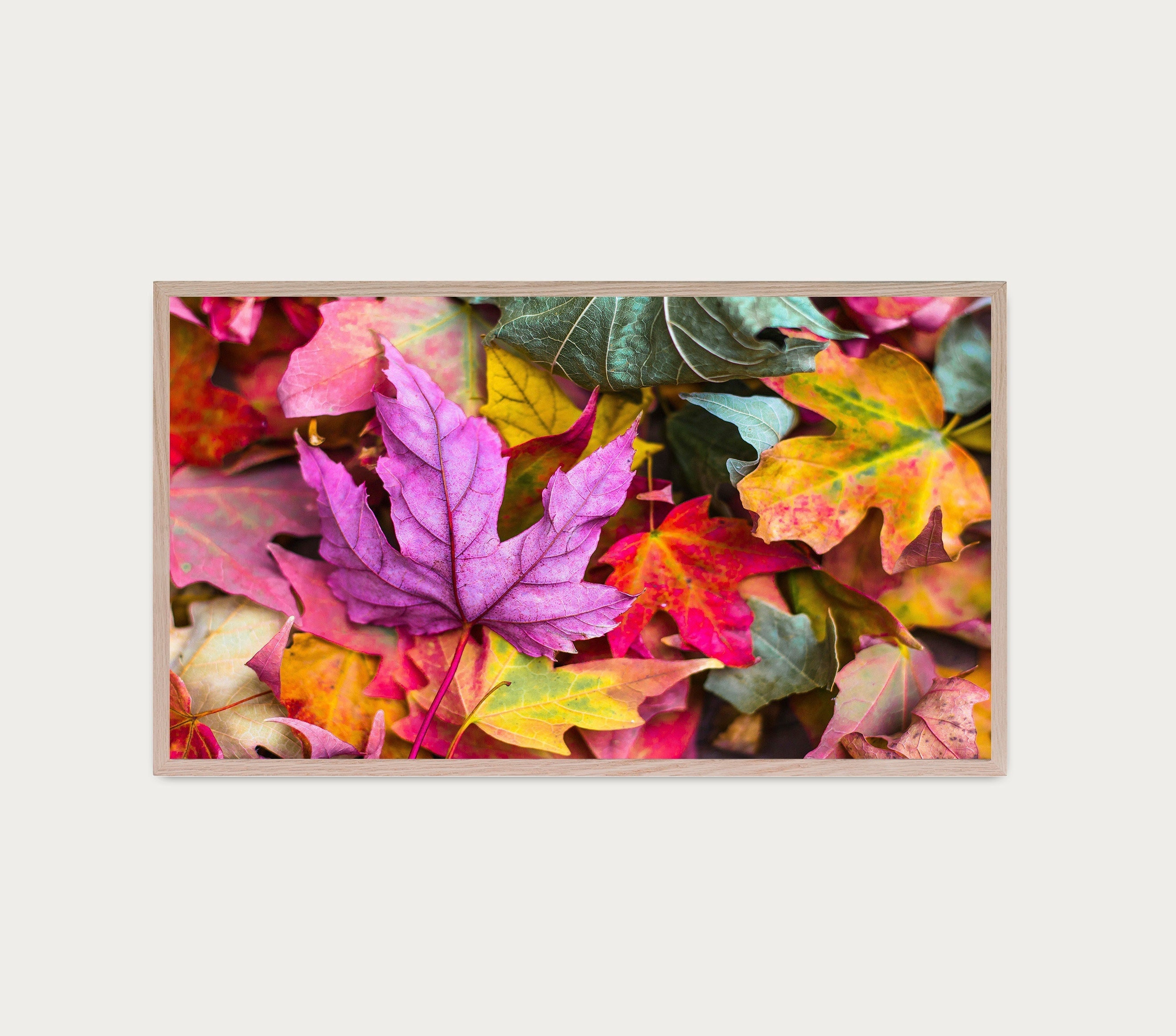 Samsung Frame TV Art, Fall Leaves Frame Art, Fall Foliage Instant ...
