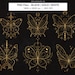 Filigree Boho Butterfly Svg, Butterfly Png, Luna Mystical Butterfly ...