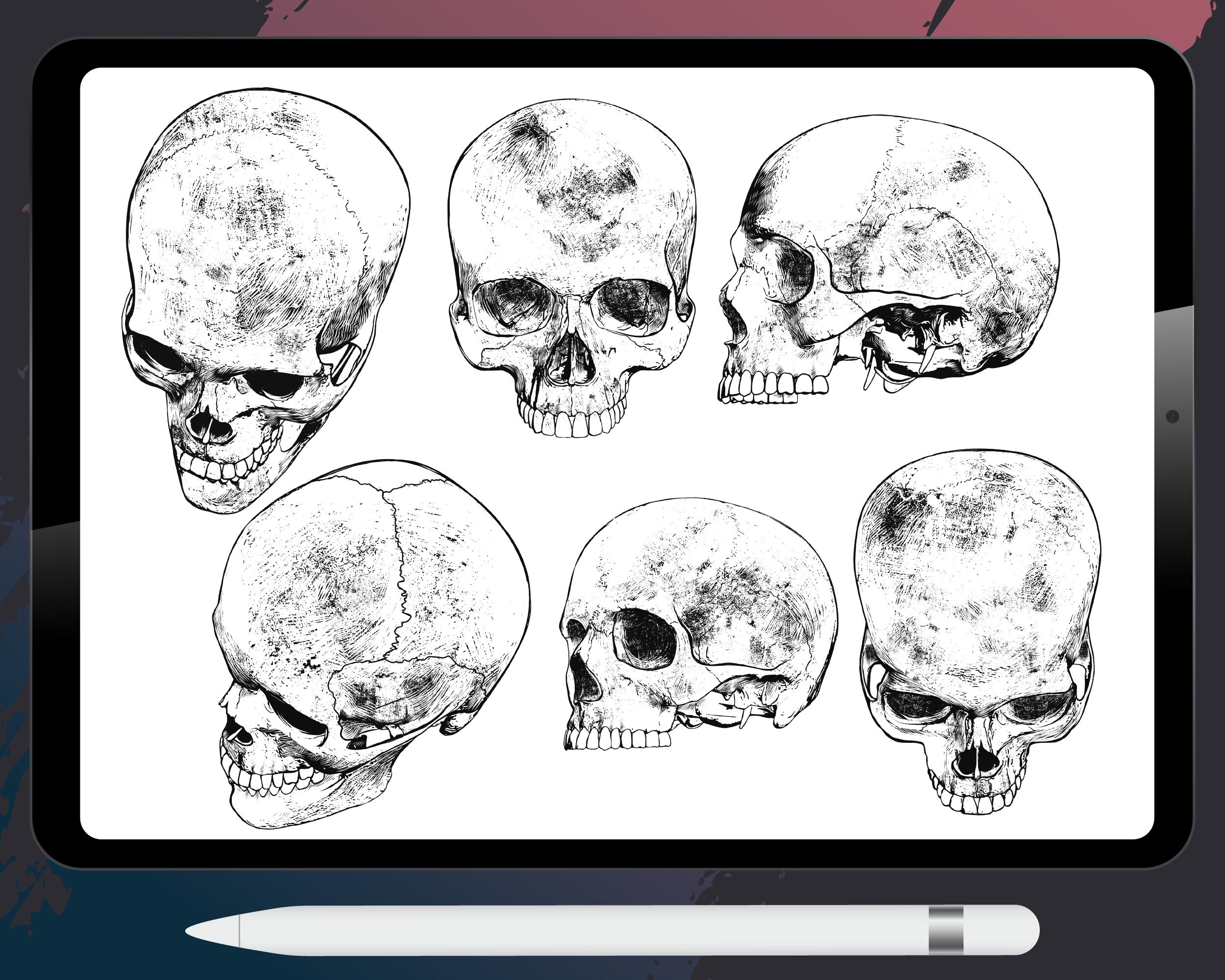 18 Procreate Brushes Human Skull Brushset Bone Tattoo - Etsy