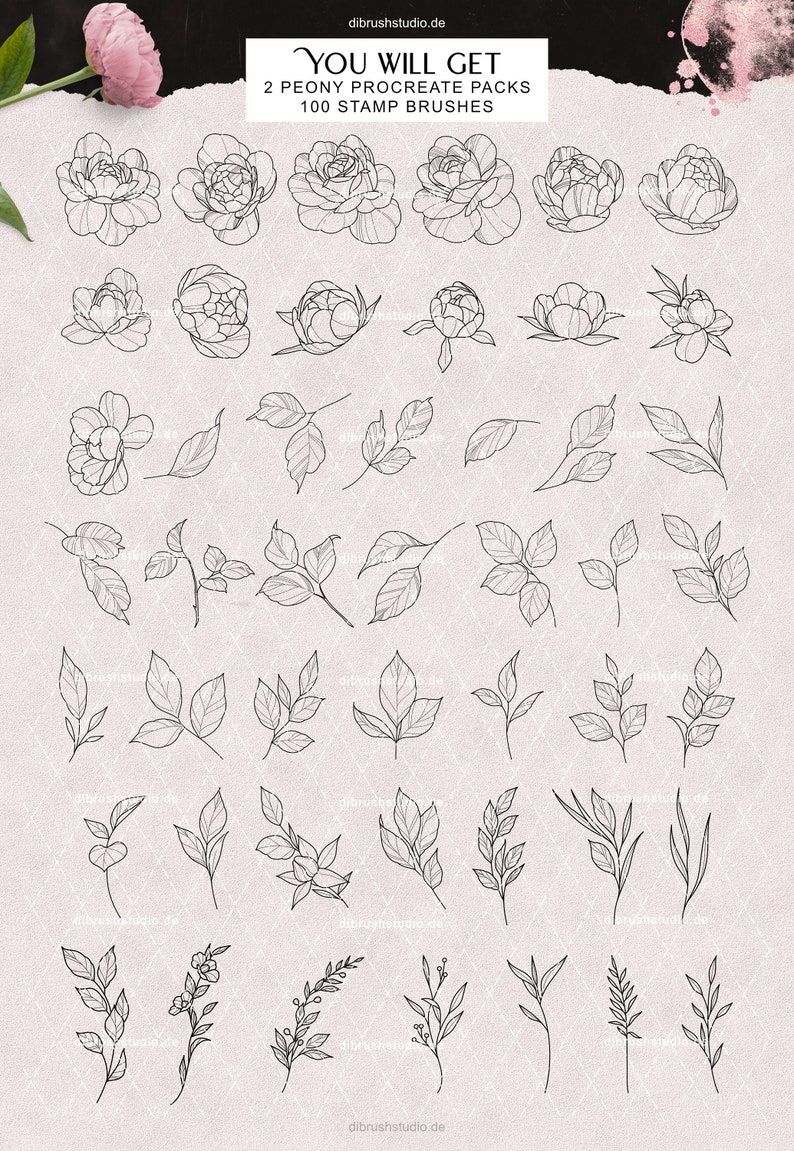 Procreate 100 Peony Tattoo Stamps Commercial Use - Etsy