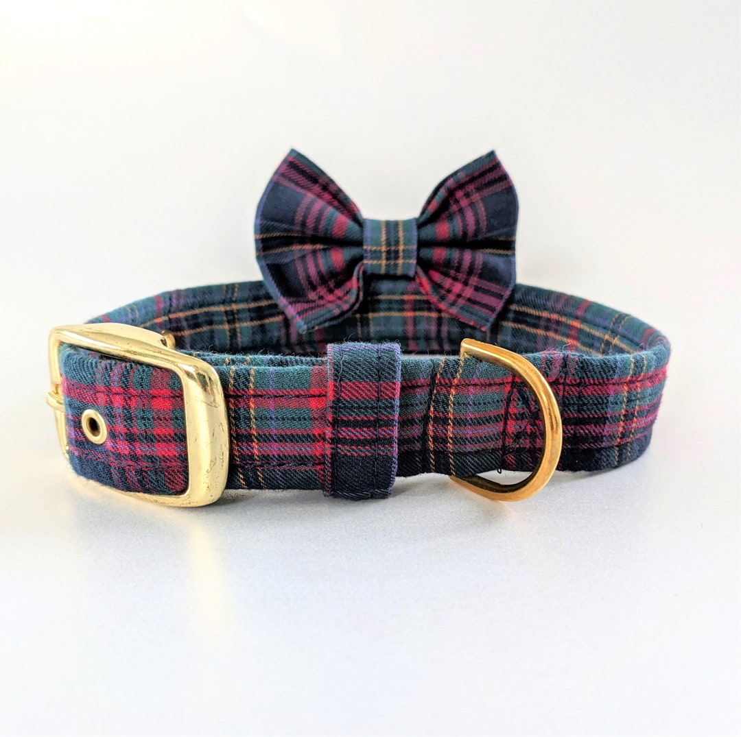 Traditional Brodie Tartan Collar with Highest Quality Brass Fixings ...