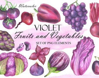 Watercolor Violet Fruit and Vegetables Clipart Farm and - Etsy