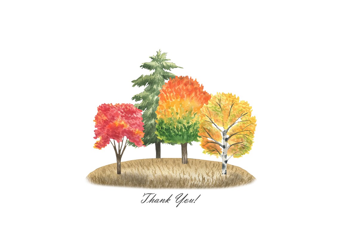 Fall Tree Watercolor Clipart Autumn Forest Trees Landscape - Etsy