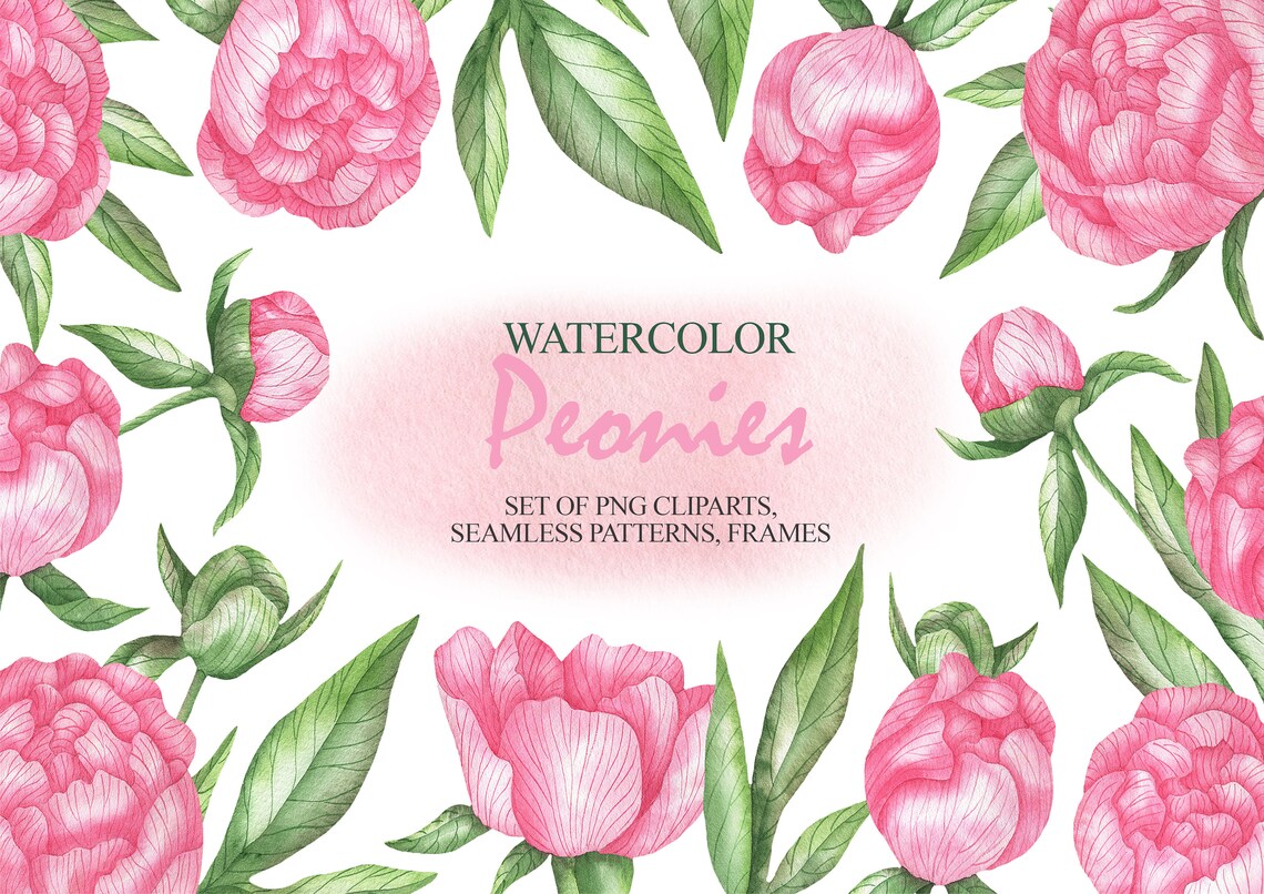 Watercolor Peonies Clipart Pink Peony Clip Art Spring Summer - Etsy