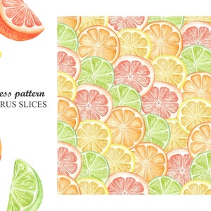 Watercolor Citrus Fruit Clipart, Slices of Citrus Lemon, Orange ...