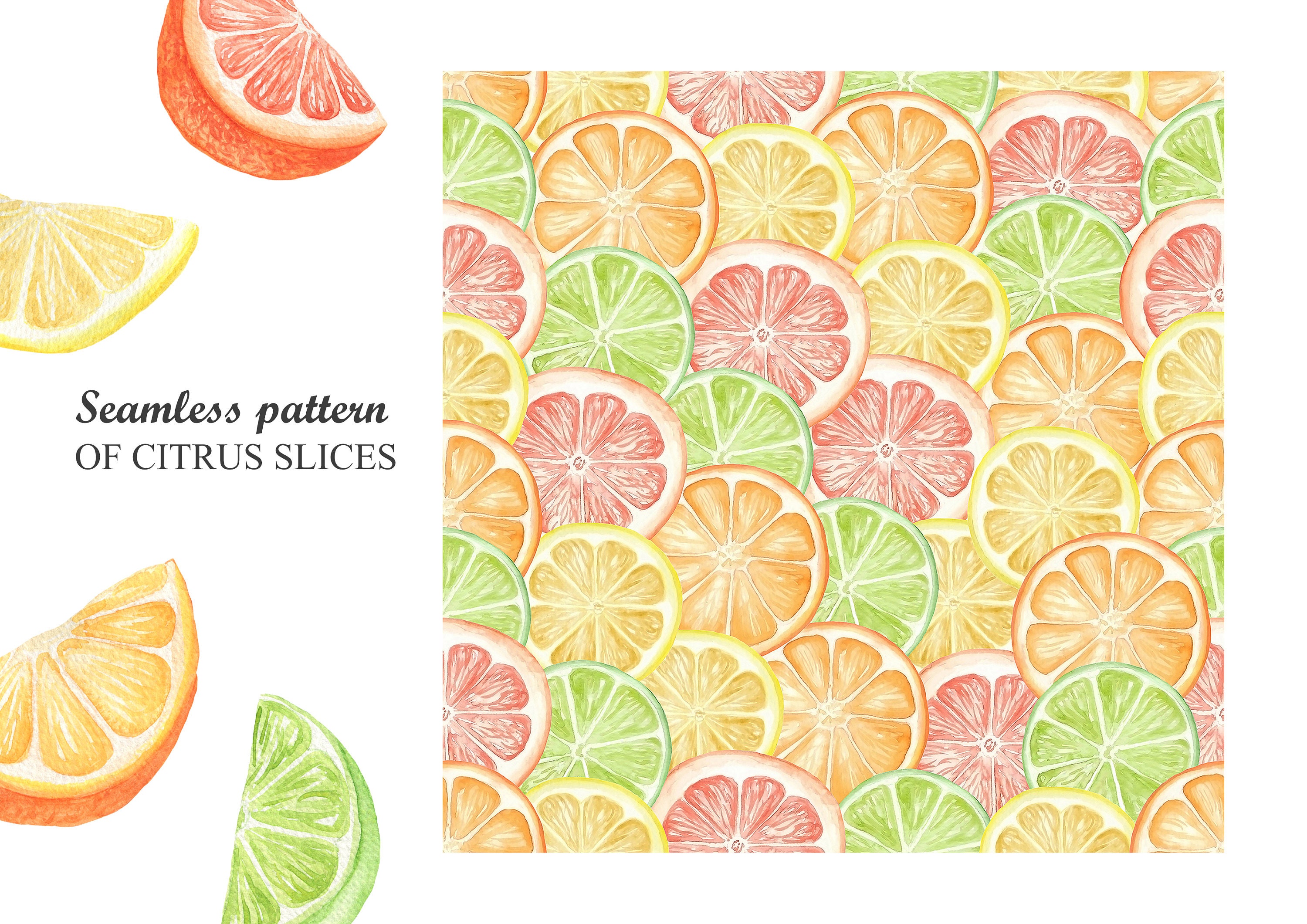 Watercolor Citrus Fruit Clipart Slices of Citrus Lemon | Etsy