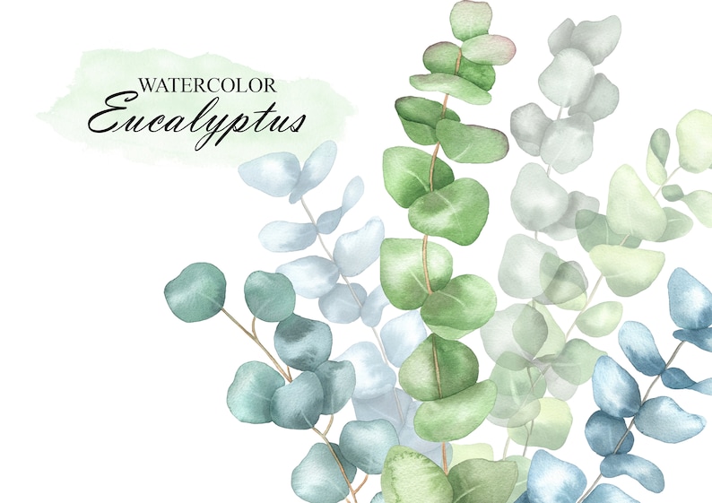 Watercolor Eucalyptus Leaves Clipart, Greenery Clip Art, Eucalyptus ...