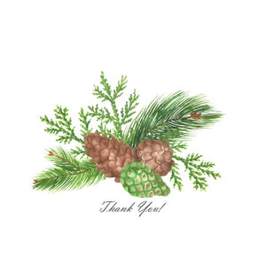 Pine Cones Watercolor Clip Art, Pine Branches Clipart, Christmas ...