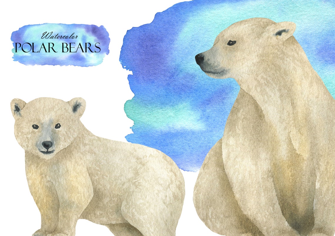 Watercolor Polar Bears Clipart Polar Bear Family Clip Art - Etsy