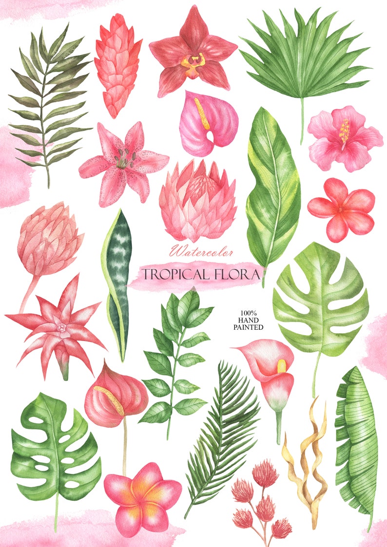 Flamingo Clipart Watercolor Tropical Pink Flowers and Leaves - Etsy
