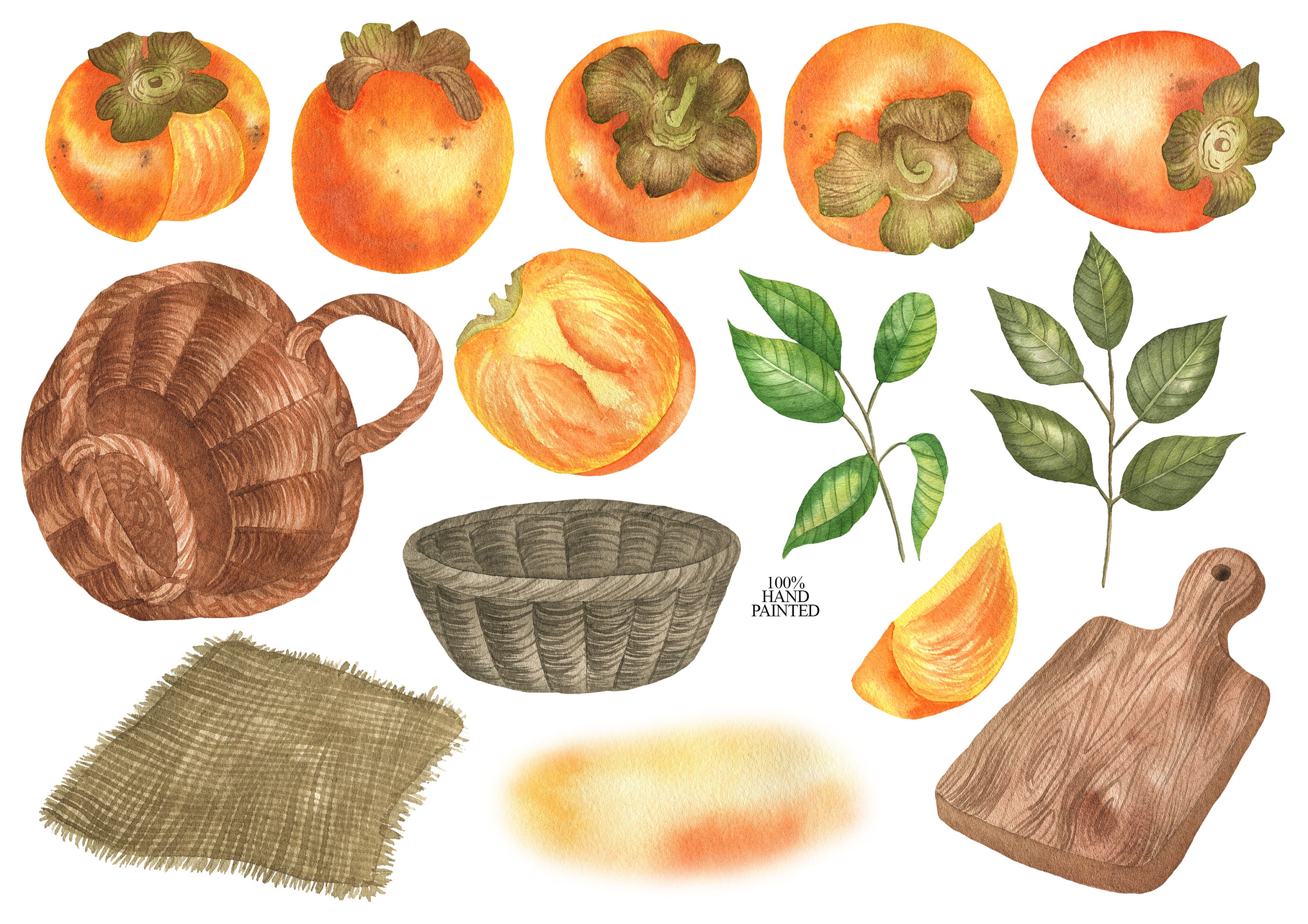 Persimmon Fruit Clip Art, Persimmon Watercolor Painting Botanical ...