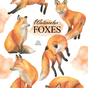 Watercolor Fox Clipart, Forest Animals, Painted Foxes, Woodland Animal ...
