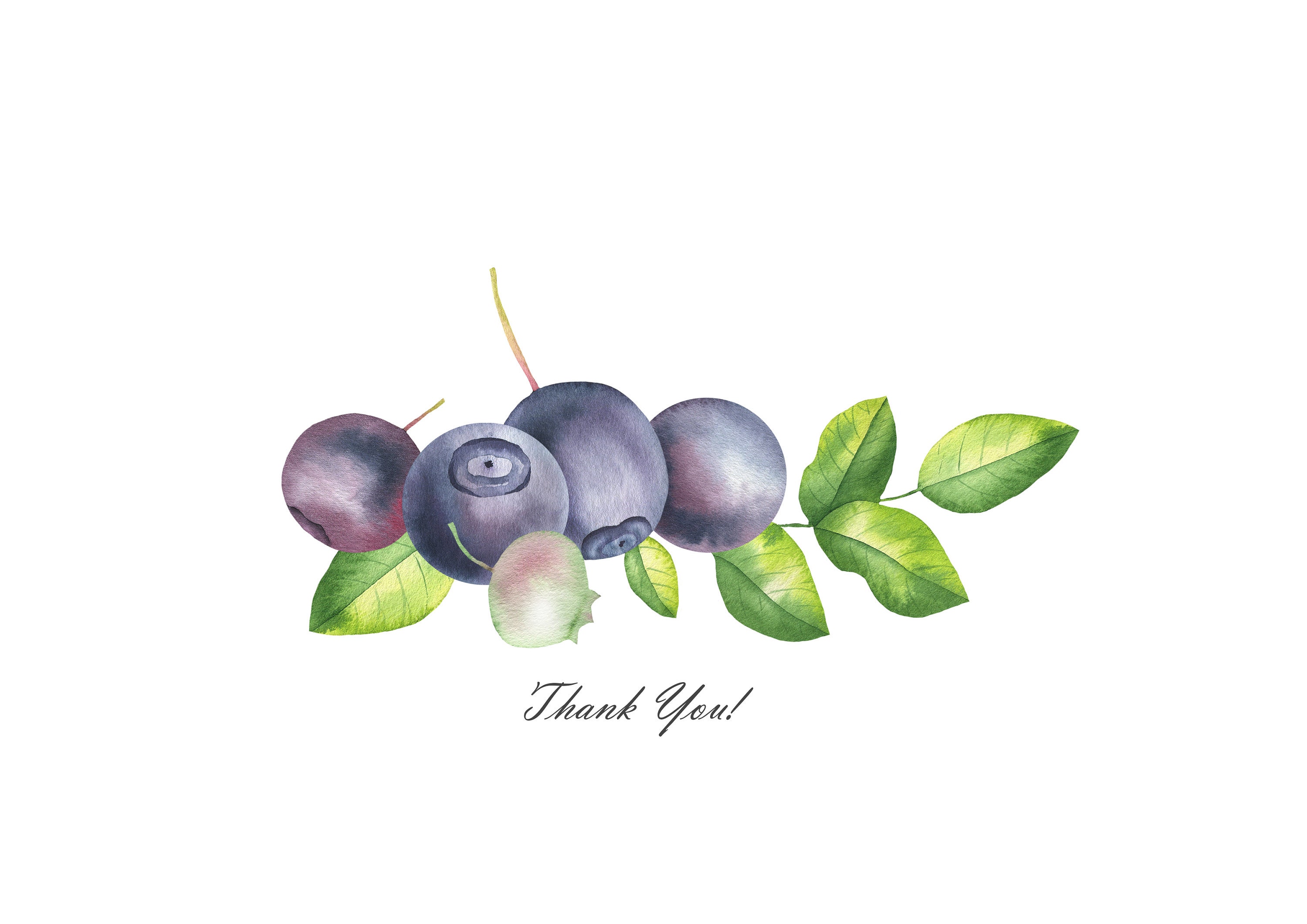 Watercolor Blueberries Clipart Summer Fresh Berries and - Etsy