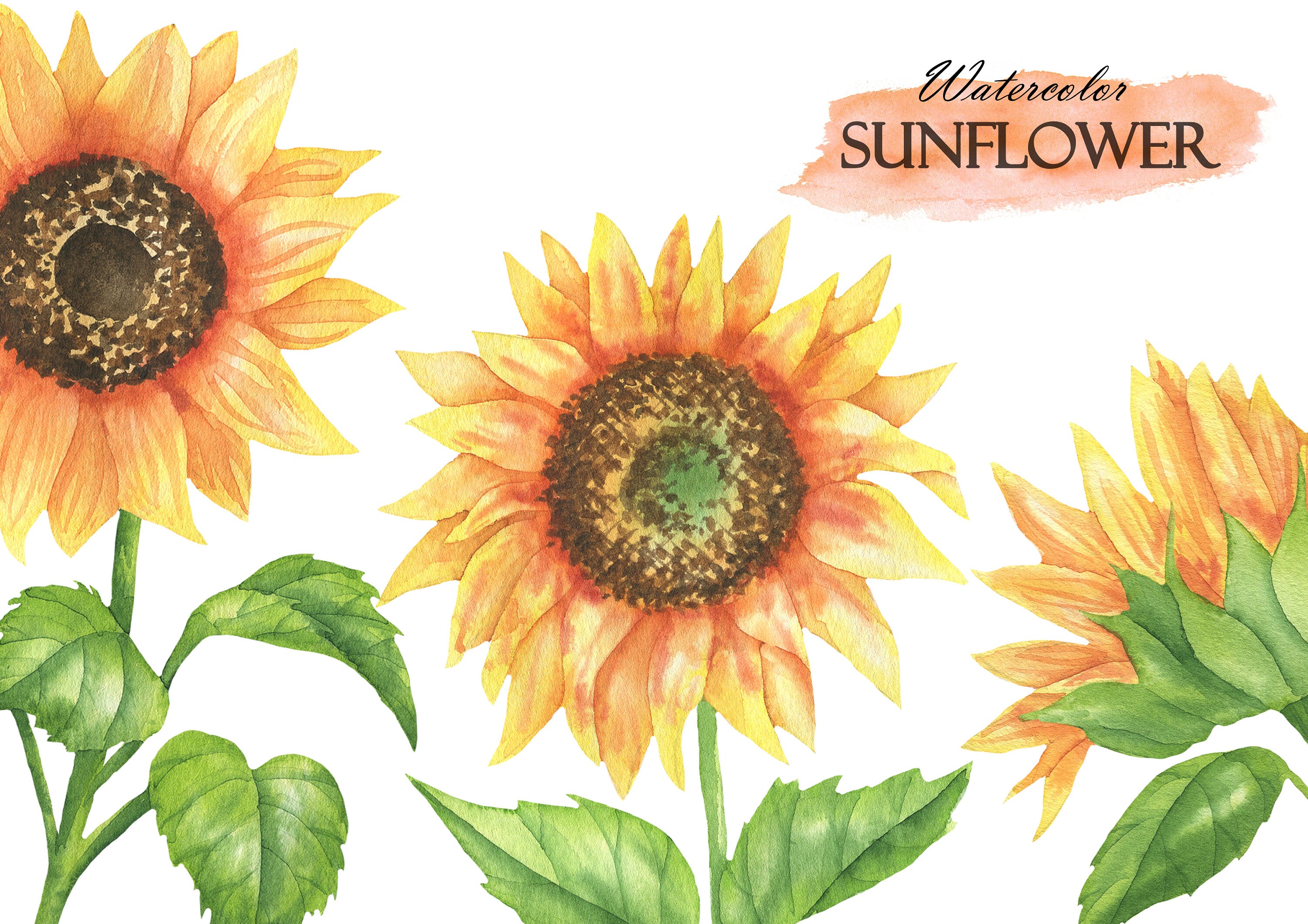 Sunflower Watercolor Clipart, Sunflowers Wedding Invitation, Yellow ...