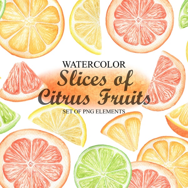 Orange Clipart Fruit Clipart Fruits Watercolor Clip Art Citrus Clipart ...