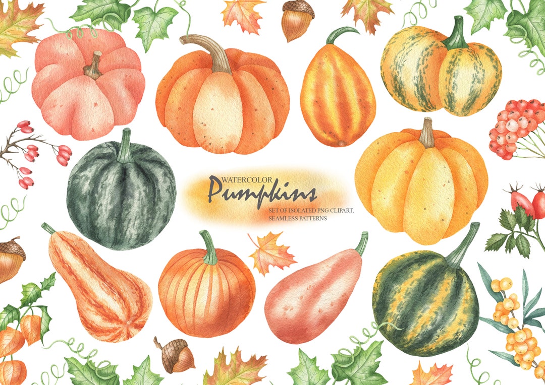 Fall Pumpkin PNG Clipart. Watercolor Autumn Orange and Green Pumpkins ...