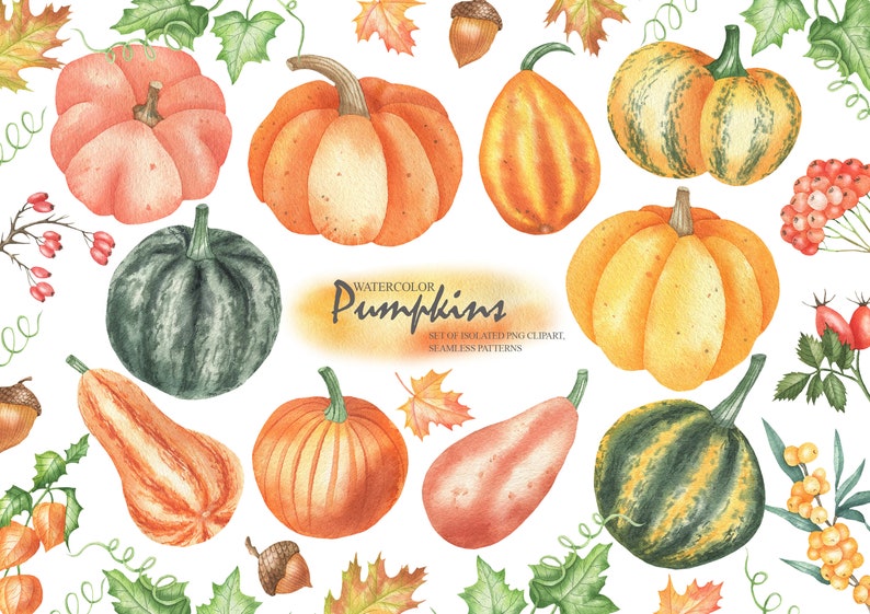 Fall Pumpkin PNG Clipart. Watercolor Autumn Orange and Green Pumpkins ...
