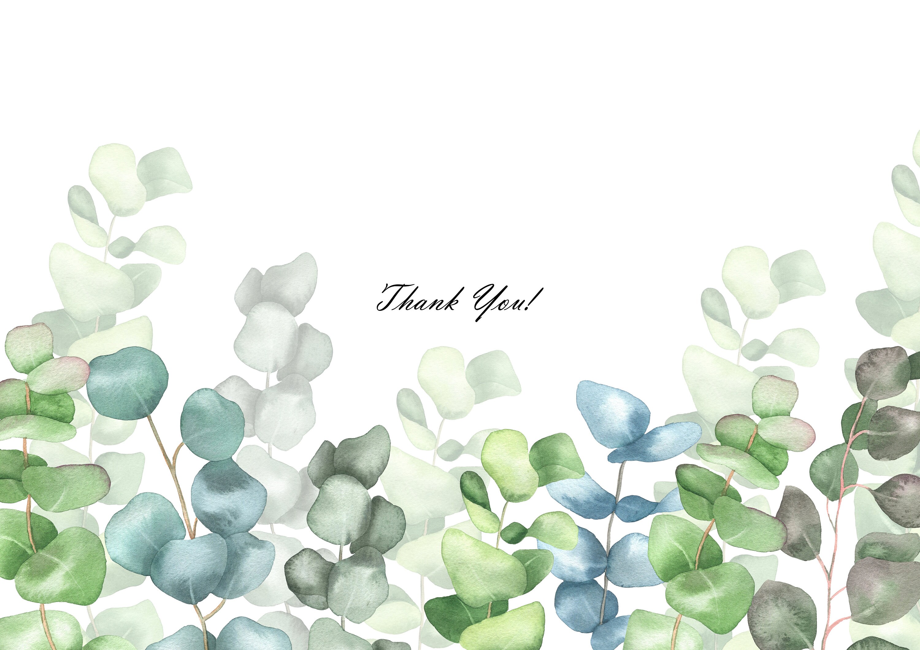 Watercolor Eucalyptus Leaves Clipart, Greenery Clip Art, Eucalyptus ...