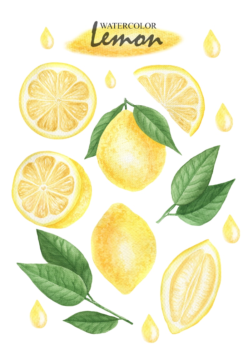 Watercolor Lemon Clipart Yellow Citrus Lemons Fruit Clip Art - Etsy