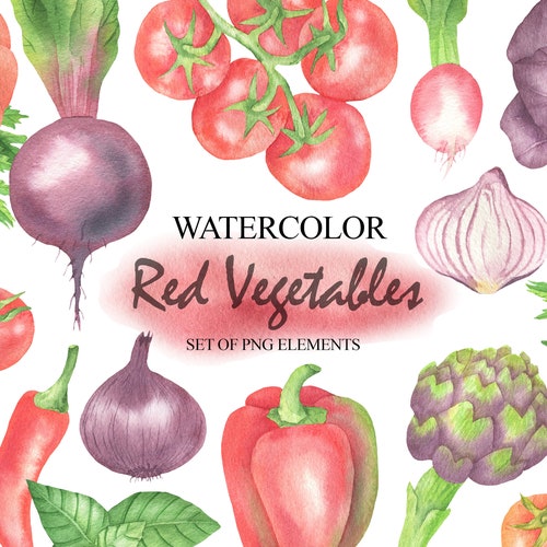 Watercolor Vegetable Clipart Kitchen Autumn Tomato Pepper - Etsy