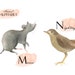 Animal Alphabet Watercolor Clipart, Animals A-Z, Alphabet Animals ...