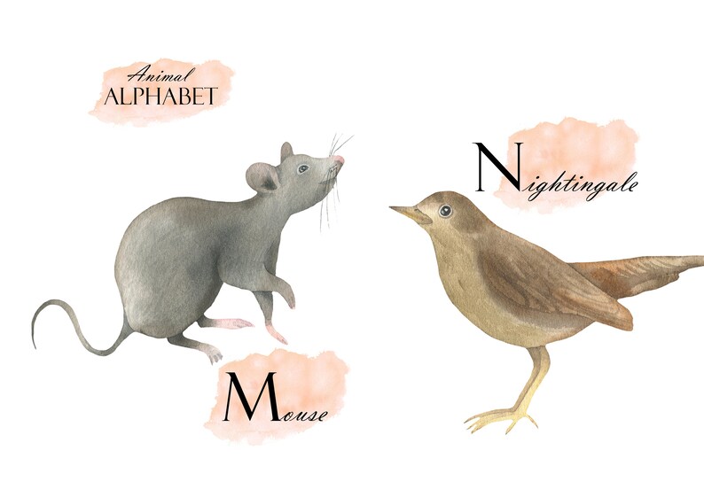 Animal Alphabet Watercolor Clipart, Animals A-Z, Alphabet Animals ...