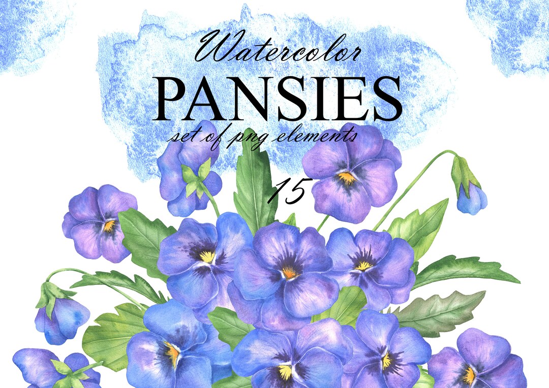 Watercolor Pansy Flowers Clipart, Violet Spring Pansies Bouquet Clip ...