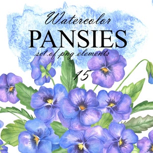 Watercolor Cinco De Mayo Clip Art, Fiesta Party Clipart, Mexican ...