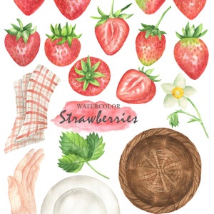 Watercolor Strawberry Clipart, Berry Clip Art, Summer Strawberry ...