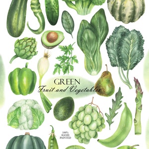 Watercolor Green Fruit and Vegetables Clipart, Farm and Kitchen ...