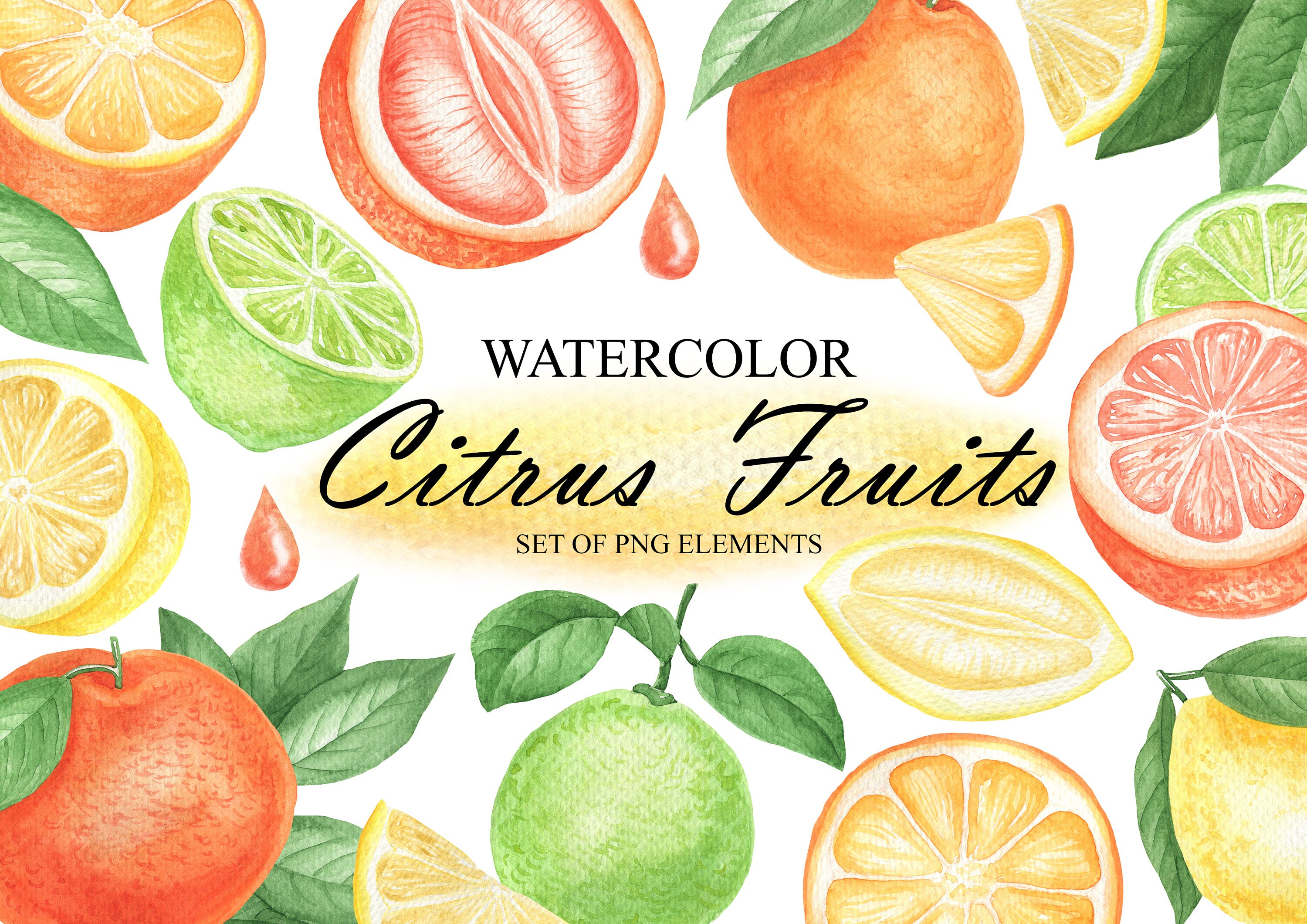 Aquarel Citrus Fruit Clipart, Fresh Summer Lemon, Orange, Grapefruit ...