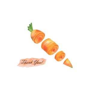 Watercolor Carrots Clipart, Colored Carrot, Eco Farm Vegetables, Fresh ...
