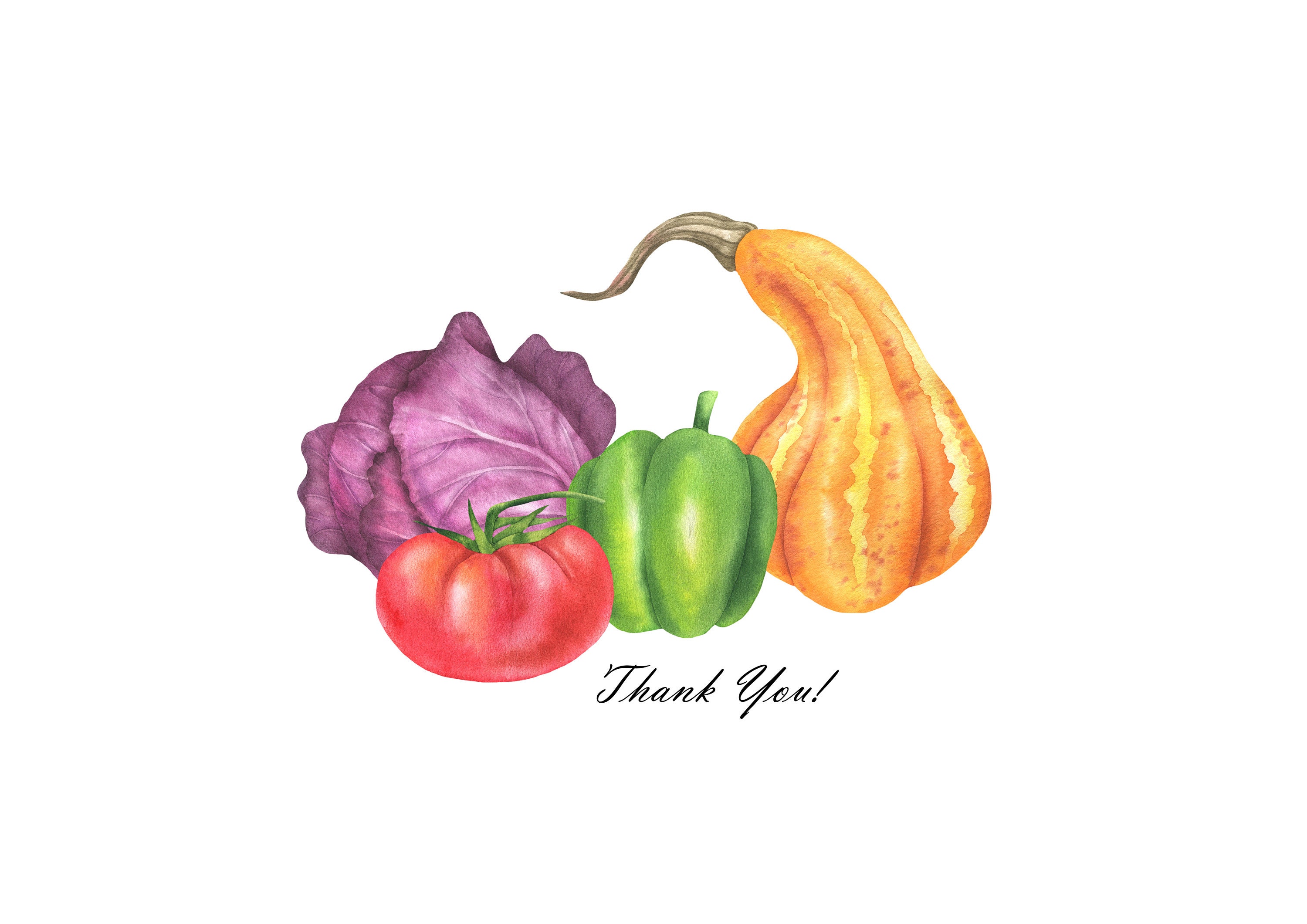Watercolor Vegetable Clipart, Farm and Kitchen Cabbage, Tomato ...