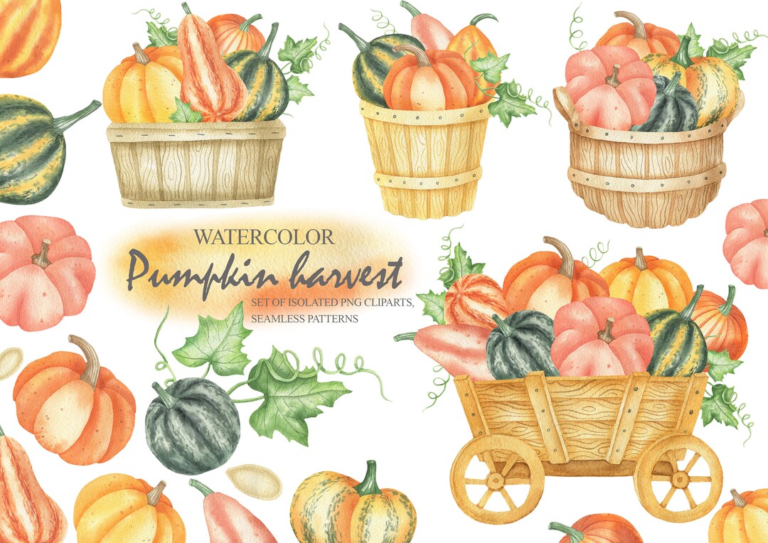 Fall Pumpkin PNG Clipart. Watercolor Autumn Orange and Green Pumpkins ...