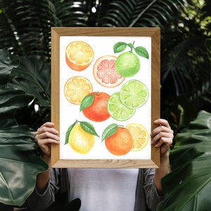 Watercolor Citrus Fruit Clipart, Fresh Summer Lemon, Orange, Grapefruit ...