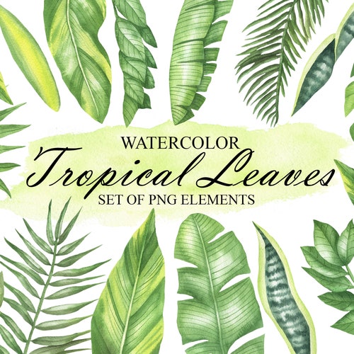 Watercolor Leaves Clipart Tropical Leaves Clip Art Exotic - Etsy