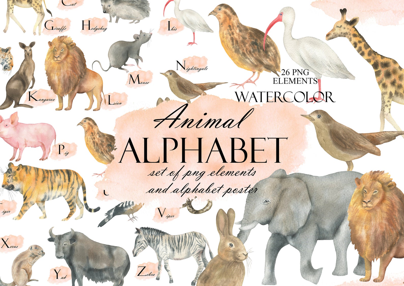Animal Alphabet Watercolor Clipart, Animals A-Z, Alphabet Animals ...